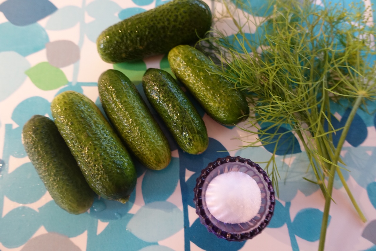 Enkelt att göra världens godaste egna Saltgurka - pretty home blog