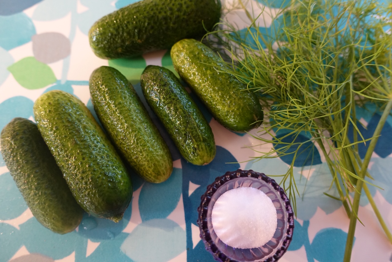 Enkelt att göra världens godaste egna Saltgurka - pretty home blog