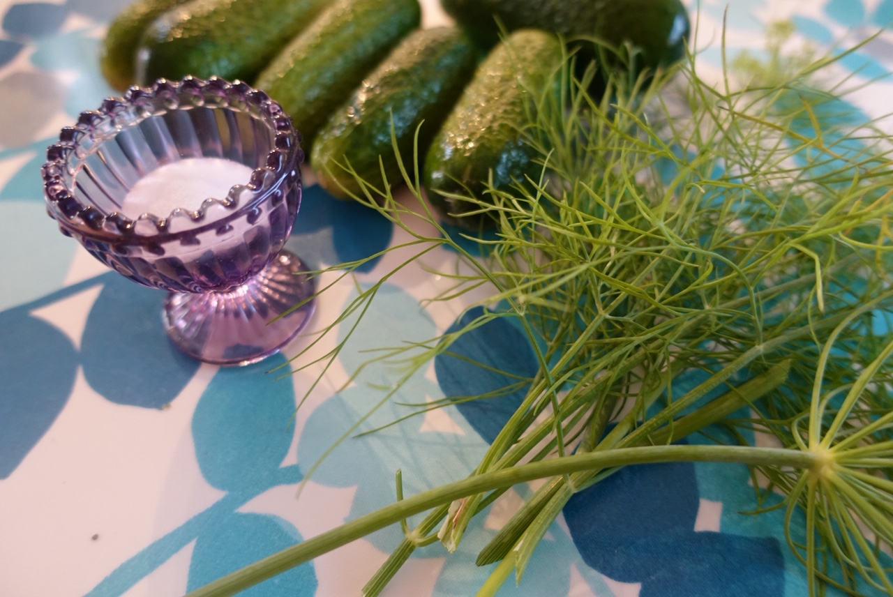 Enkelt att göra världens godaste egna Saltgurka - pretty home blog